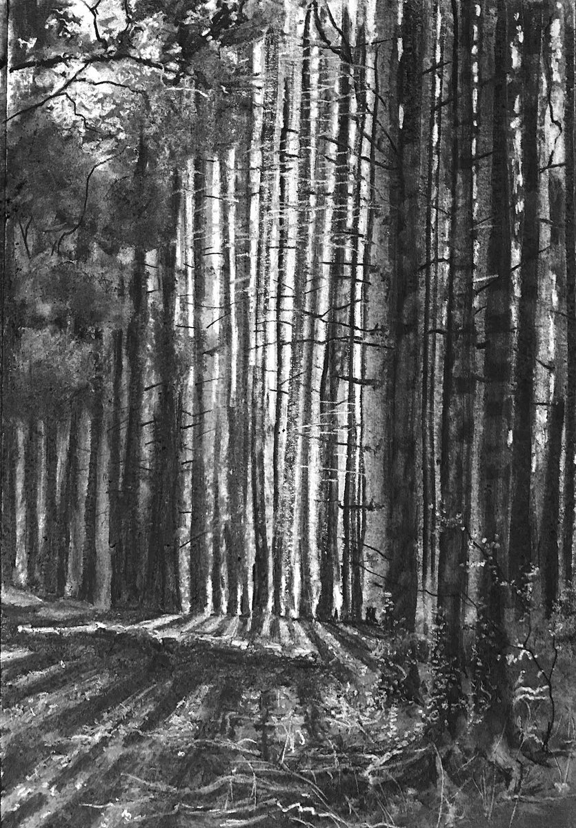 Cathedral - Charcoal on paper – Kevin Williams Art