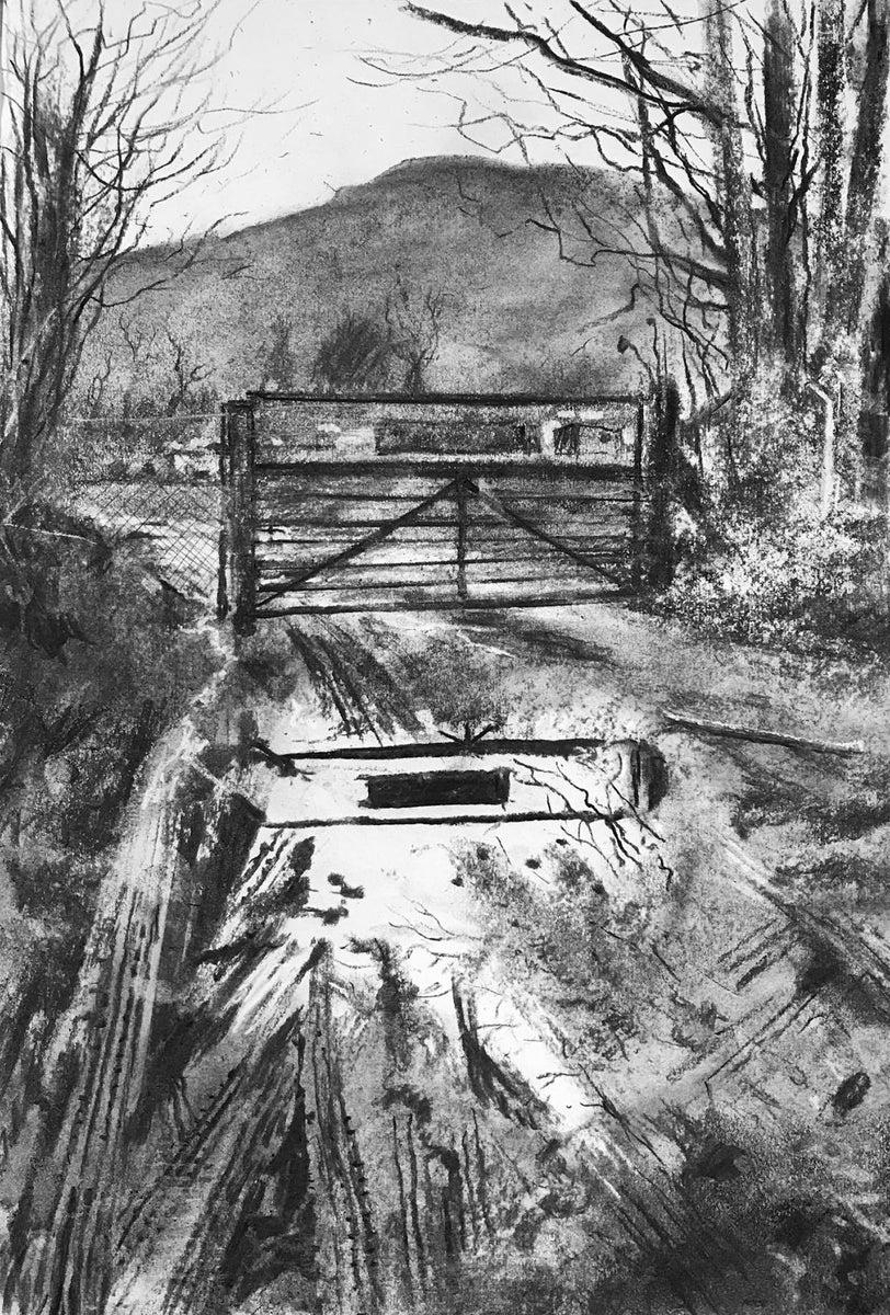 Allotment gate Taffs Well – Kevin Williams Art